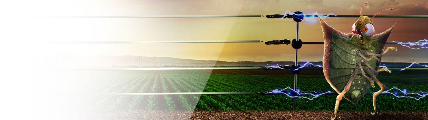 Curbix®: Inseticidas para Cultivos | Agro Bayer