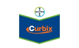 Descubra o programa de relacionamento Impulso Bayer